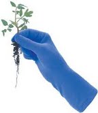 Poison Ivy Treatment - Wearing Toothpaste on Your Face is not a Fashion ...